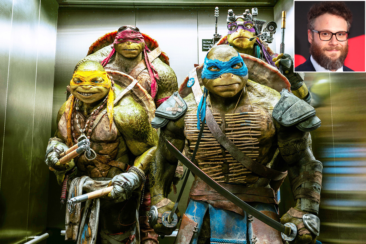 New Teenage Mutant Ninja Turtles Movie To Debut With Seth Rogen The